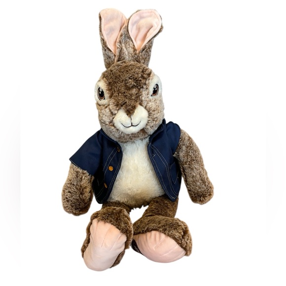 Toys | Peter Rabbit Stuffed Animal | Poshmark